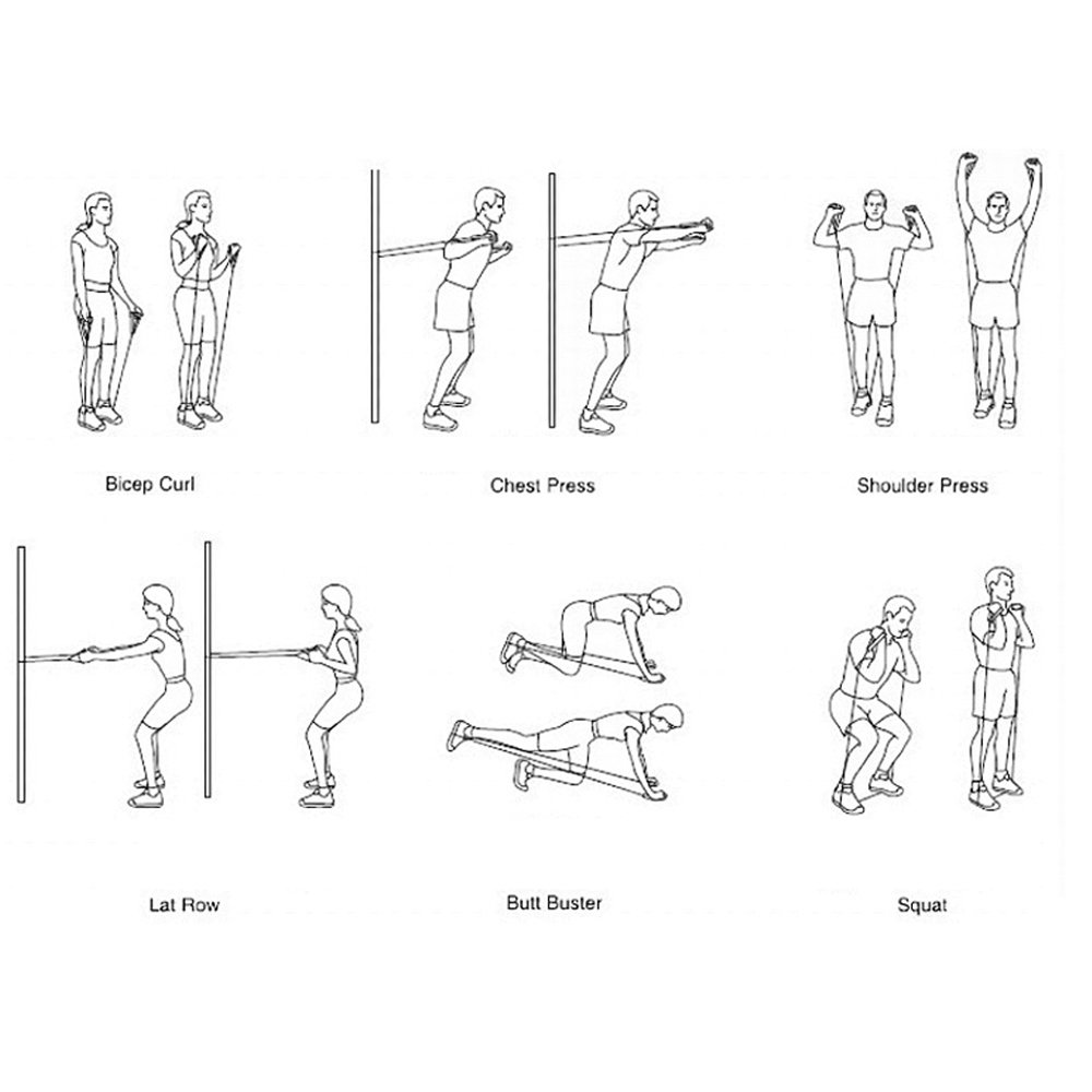 Unisex Set Pull Up Handle Assisted Fitness Exercise Cords Stretch ...