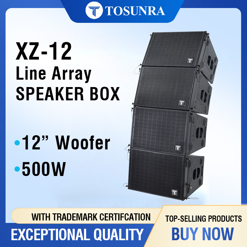 🥇【TOSUNRA】 XZ-12 LINE ARRAY SPEAKER BOX WITH SPEAKERS 5000W 8Ω | Lazada PH
