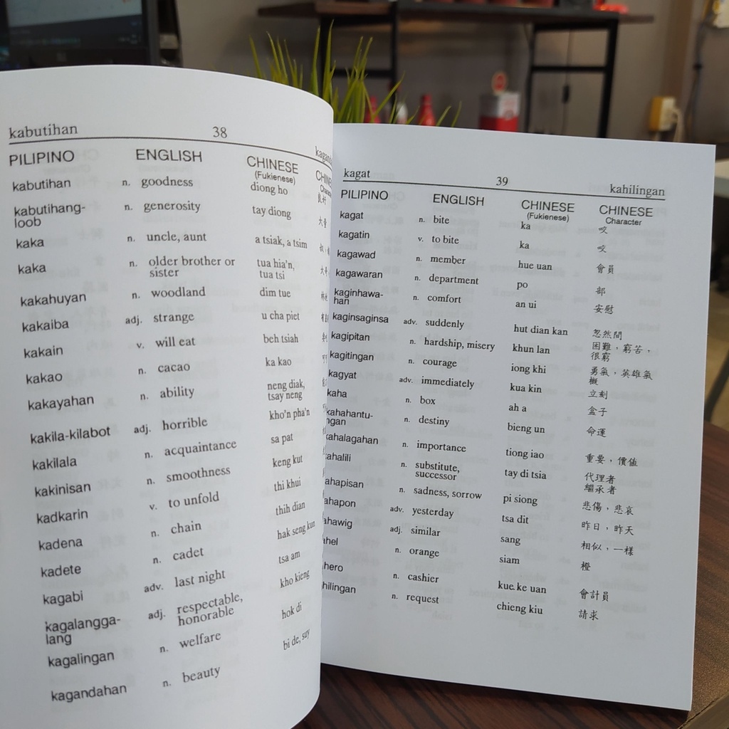 【COD】 Filipino English Chinese Dictionary Translation Book by Annie ...