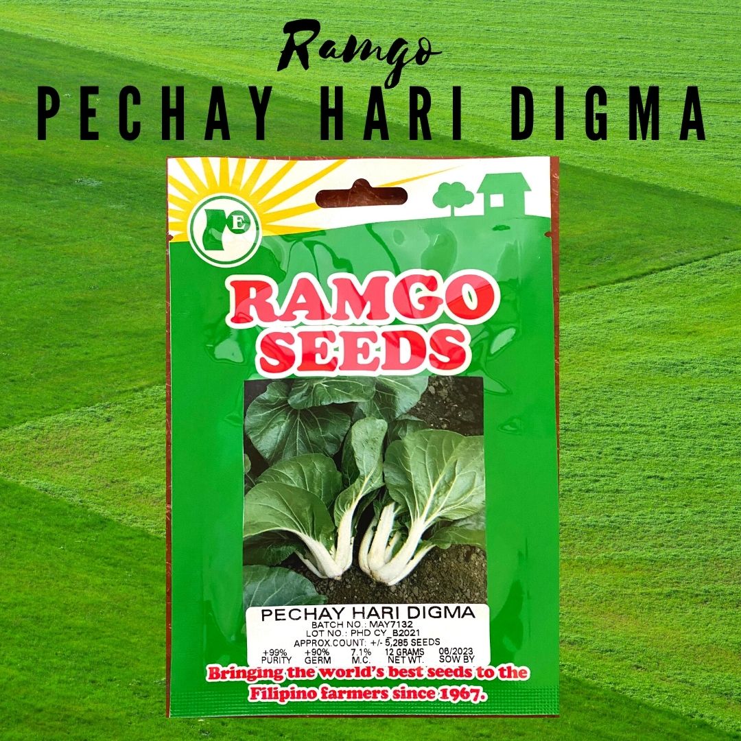 Ramgo PECHAY HARI DIGMA | Lazada PH