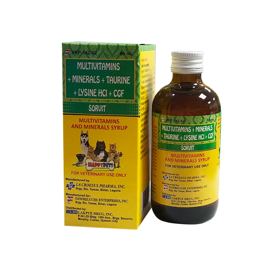 SORVIT SYRUP 120-60 ml | Lazada PH