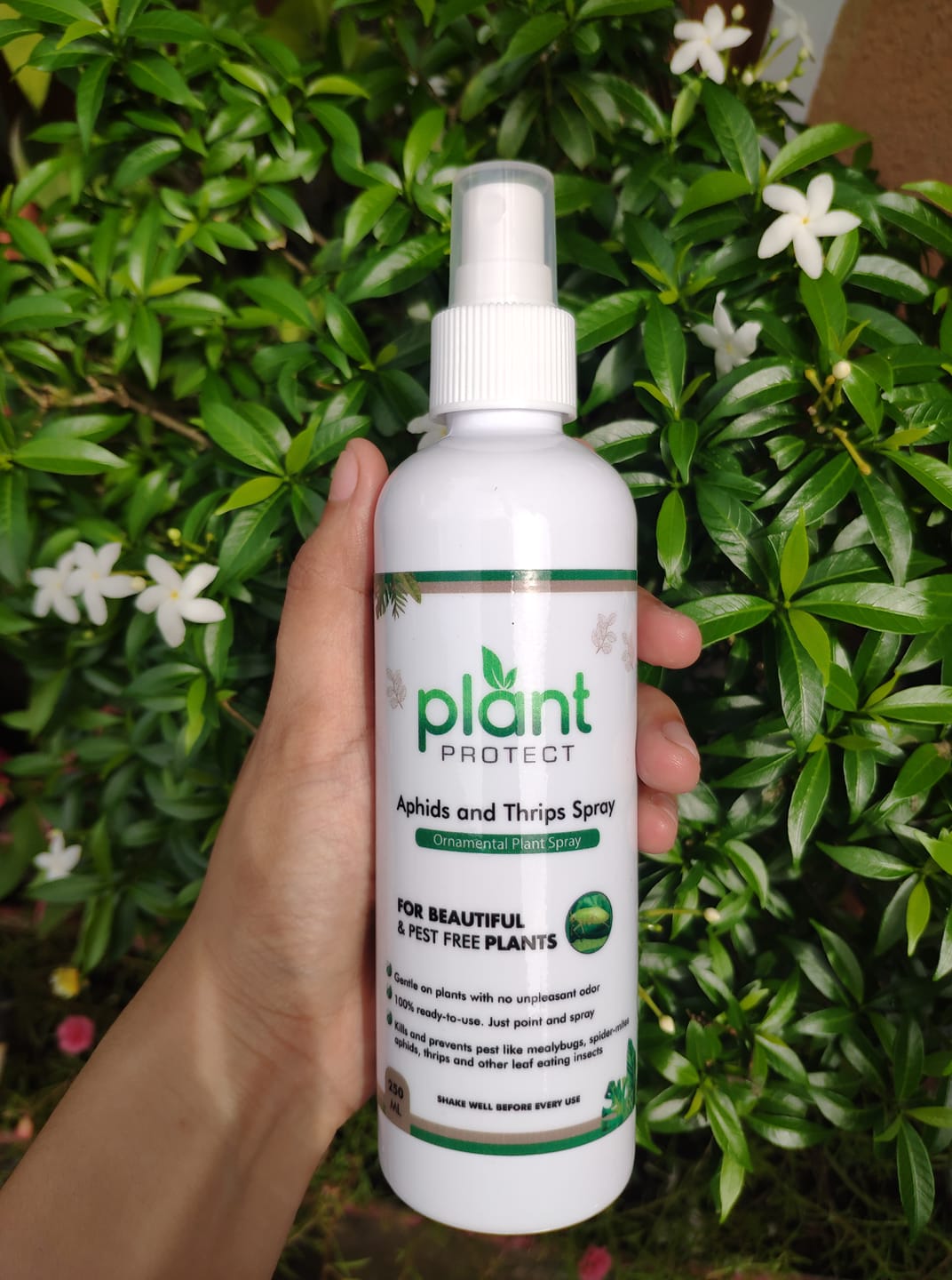 Plant Protect Aphids and Thrips Spray 250ml | Lazada PH