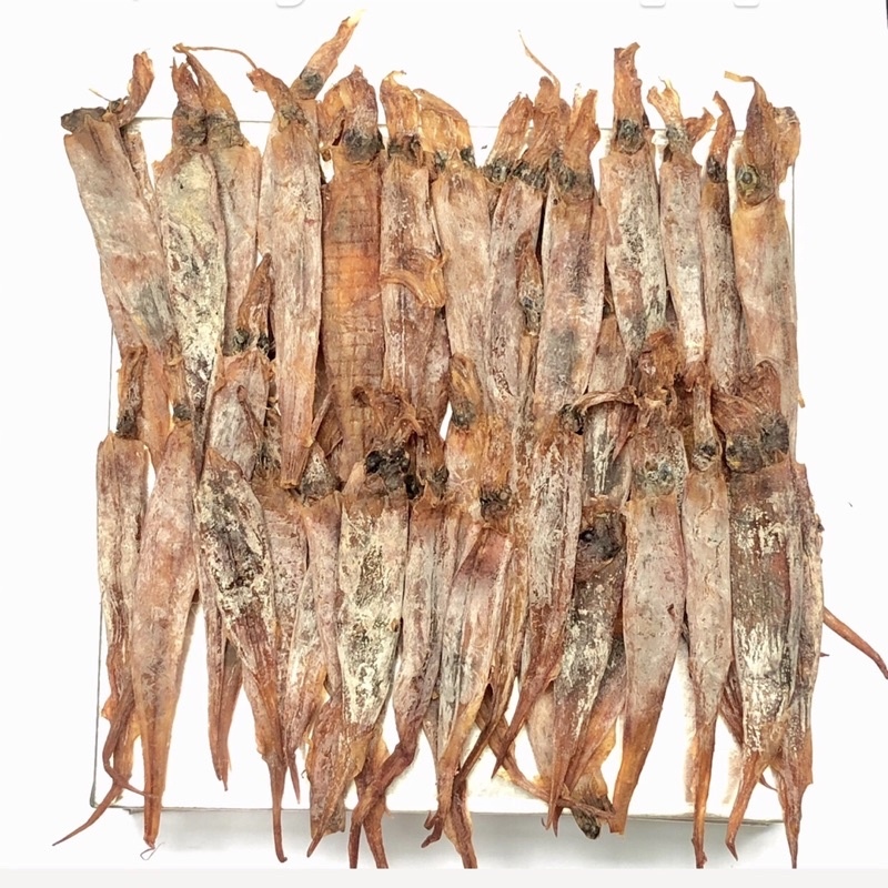 HNelson Pusit Dried Fish from Bataan | Lazada PH