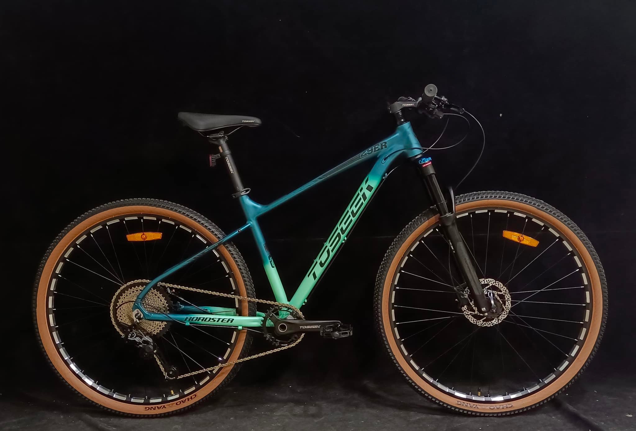 Toseek Roadster v2 13 Speed 29er | Lazada PH