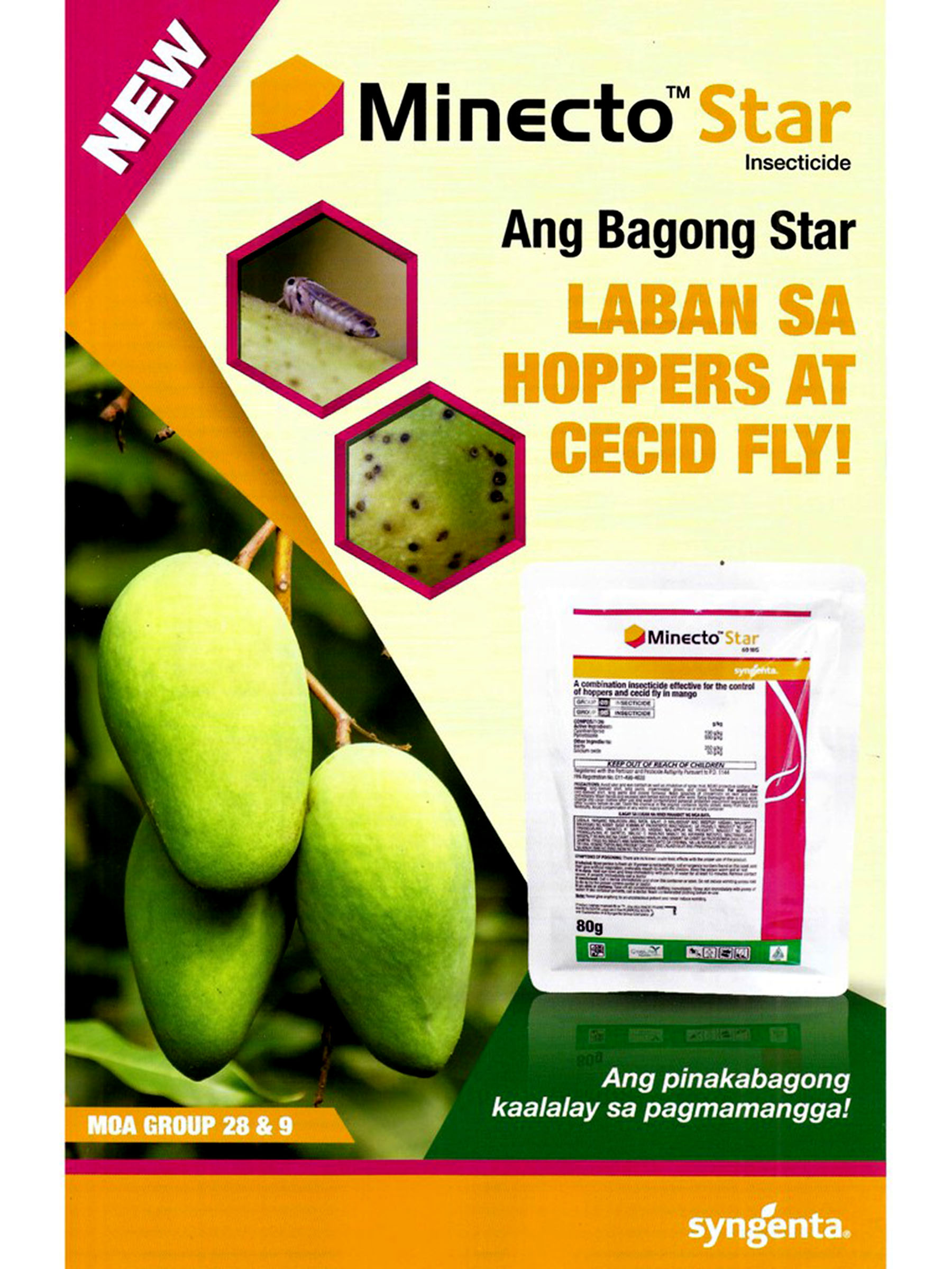 Syngenta MINECTO STAR 60WG Insecticide | Lazada PH