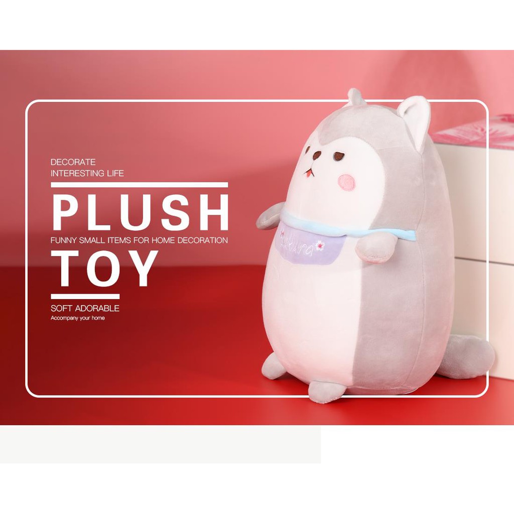 Miniso Husky, Shiba Inu, Kitten Plush Toy Stuffed Toys | Lazada PH