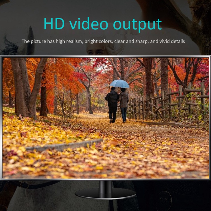 HDMI to DisplayPort DP Female Adapter 4K HD Display HDMI to DP ...