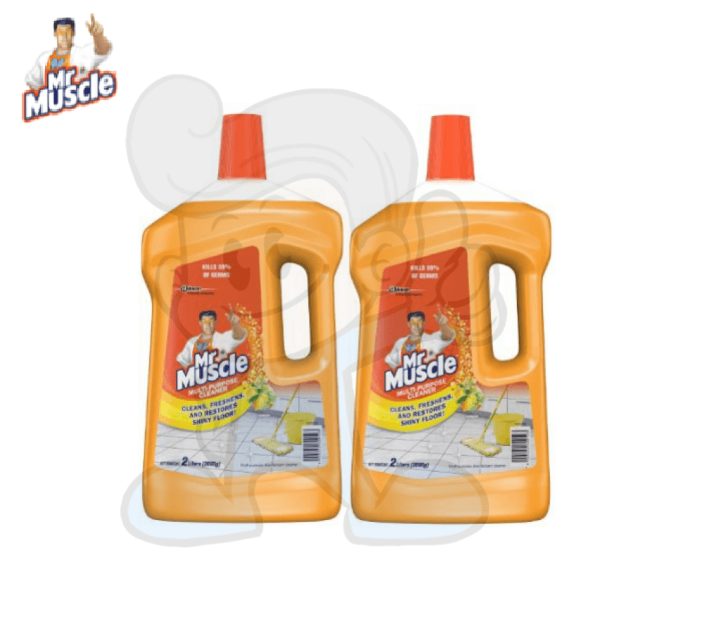 SCJ Mr Muscle All Purpose Cleaner Fresh Lemon (2 x 2L) | Lazada PH