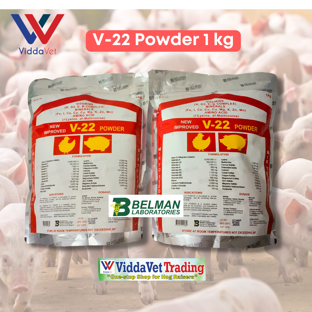 Davsaic V22 vitamins powder 1 kilo V22 vitamins for gamefowl V22 ...