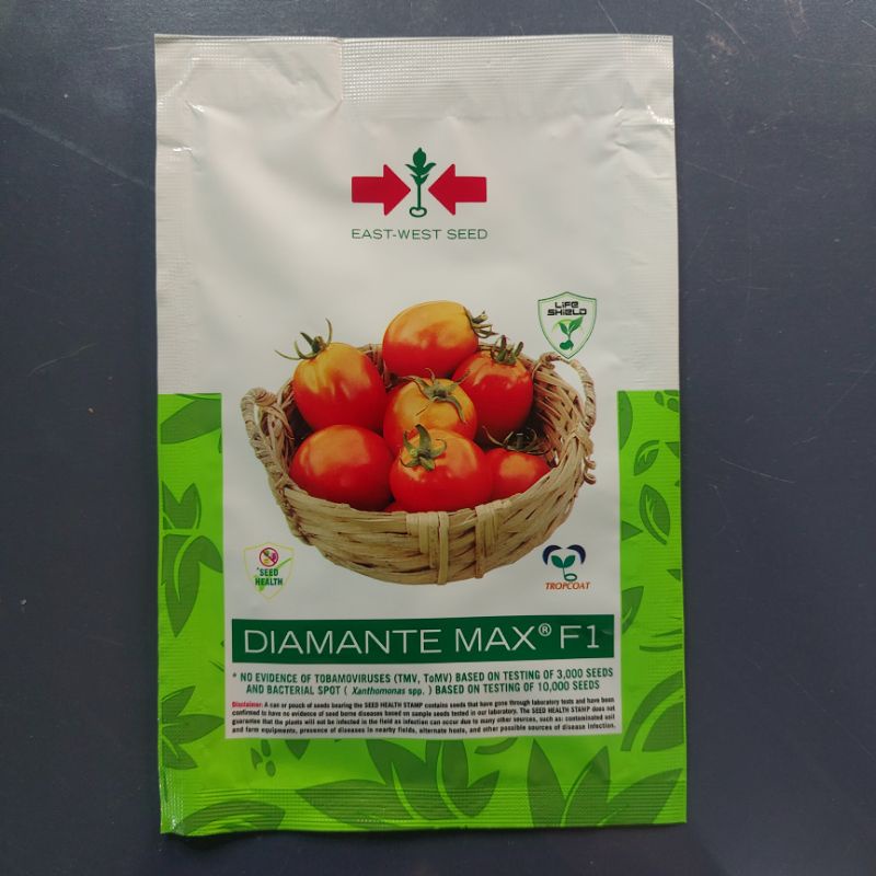 Diamante Max F1 (500 seeds) Hybrid Tomato Kamatis by East West Seed ...