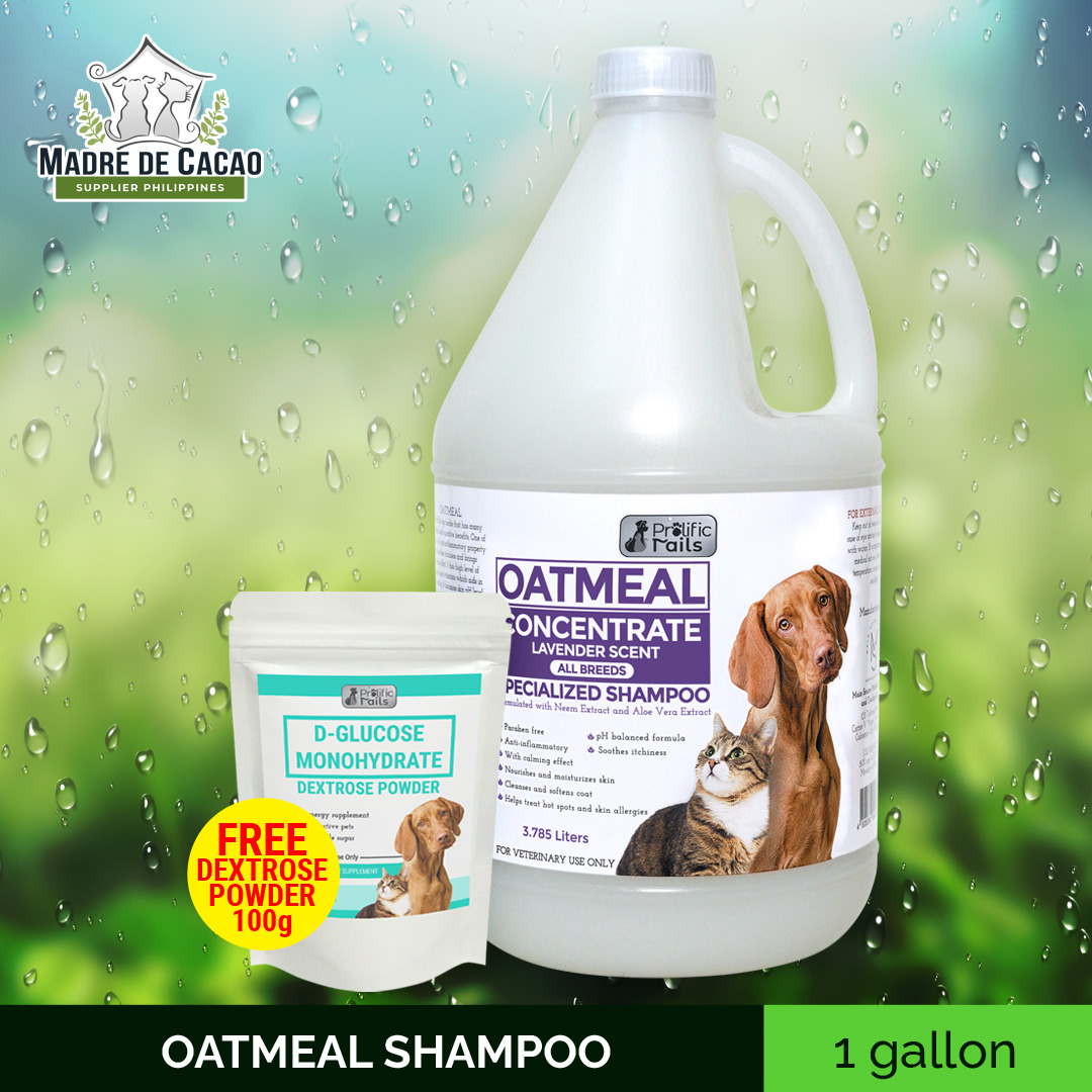 1 Gallon Prolific Tails Oatmeal Concentrate Specialized Shampoo with ...