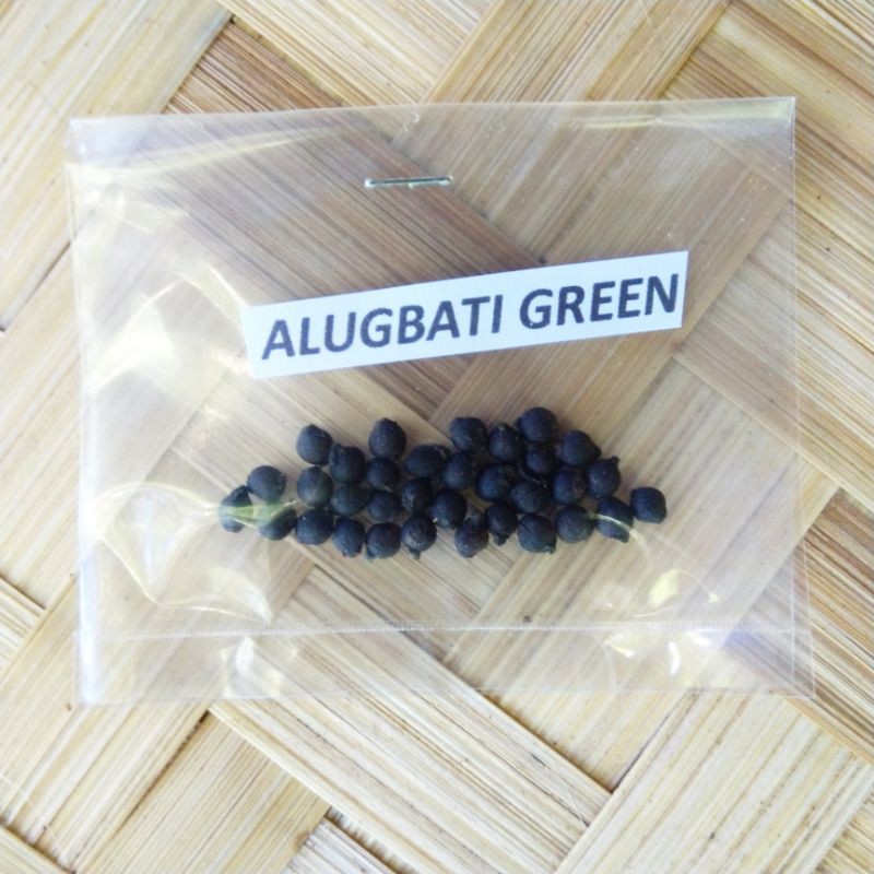 50 Seeds (buy 2 get 1 free) Alugbati Green Leaf Malabar Spinach for ...
