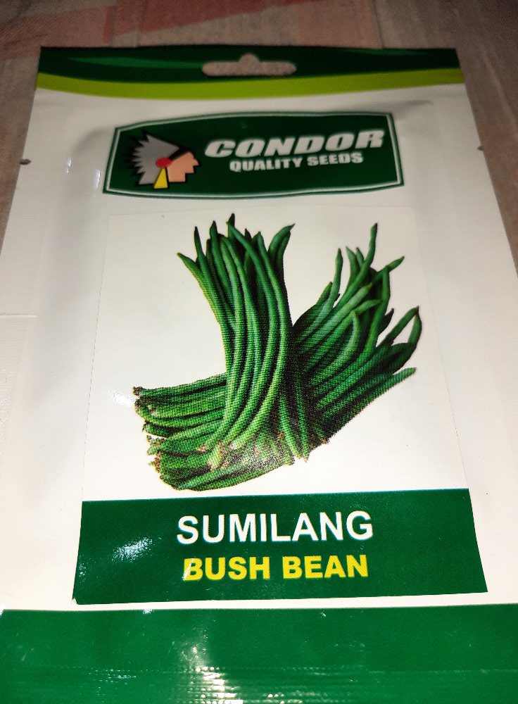 sitaw / sitao / bush bean / green bean / sumilang bush bean - 15grams ...