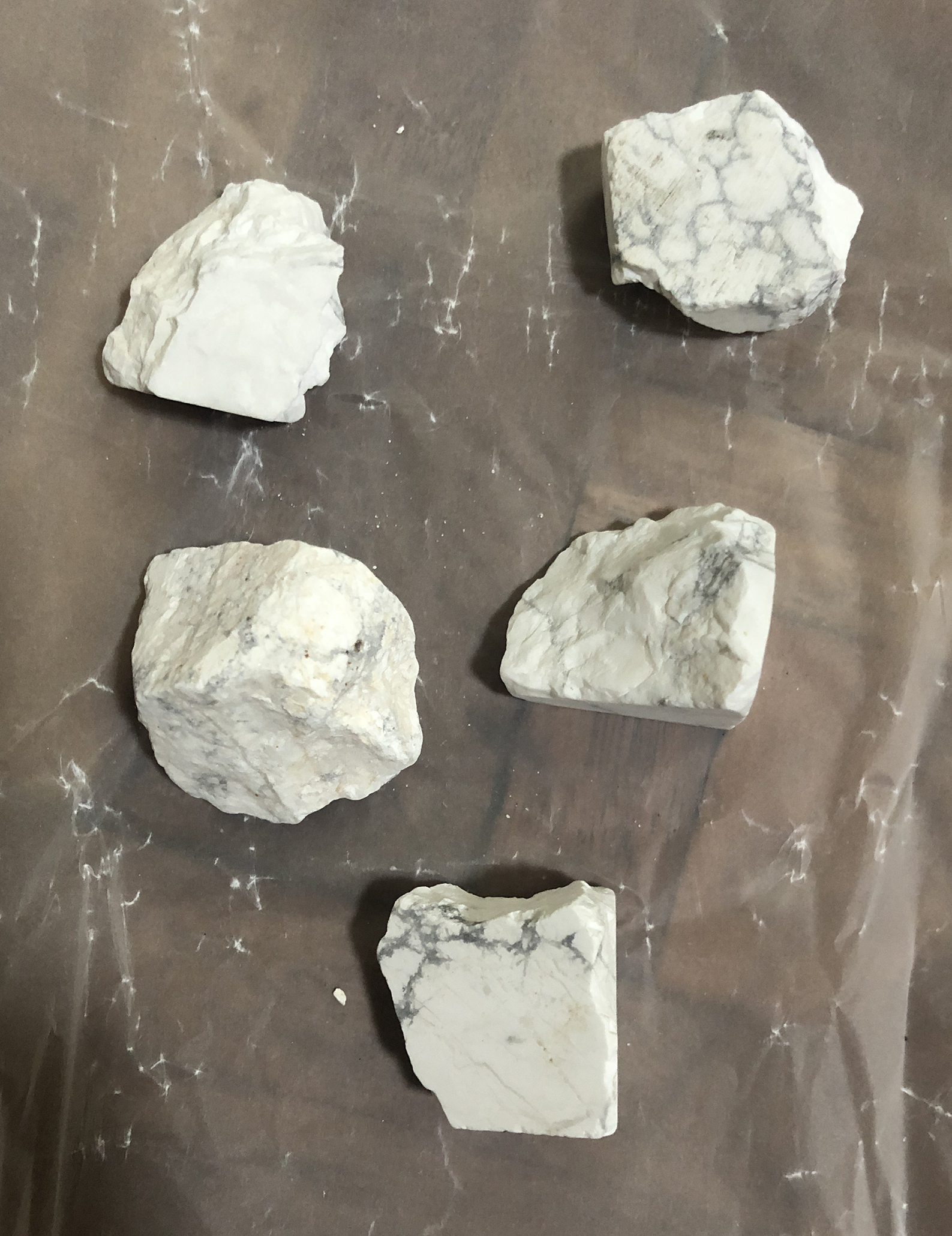 natural raw crystal howlite stone | Lazada PH