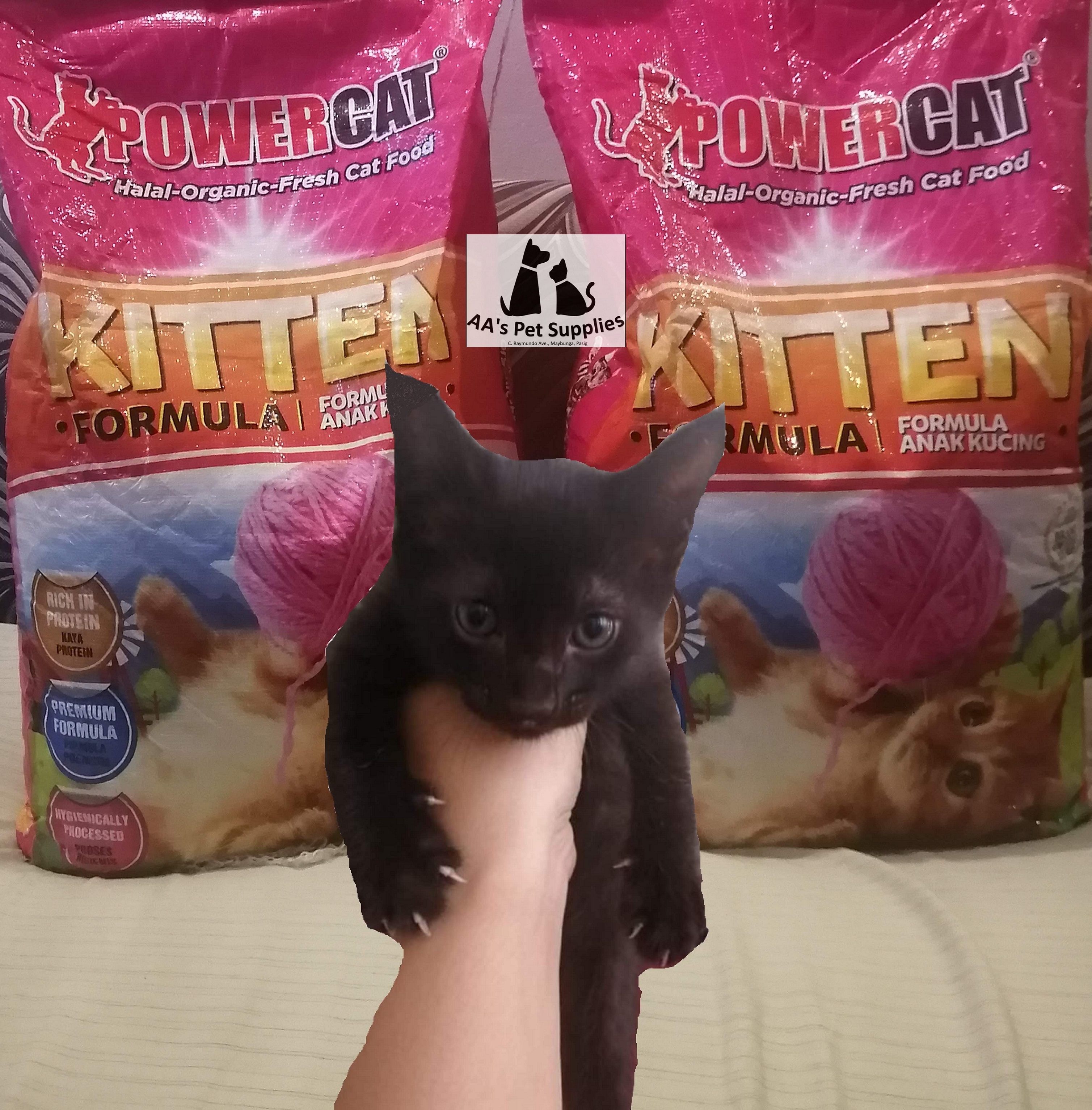 POWER KITTEN - Repack - Cat Dry Food | Lazada PH