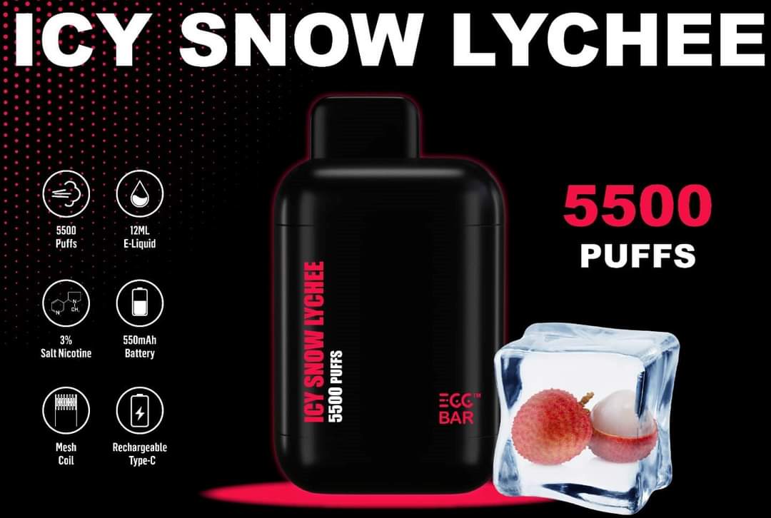 EGG 5500 Puffs Rechargeable Disposable Vape Pod 5.5k Puff Dispo 3% ...