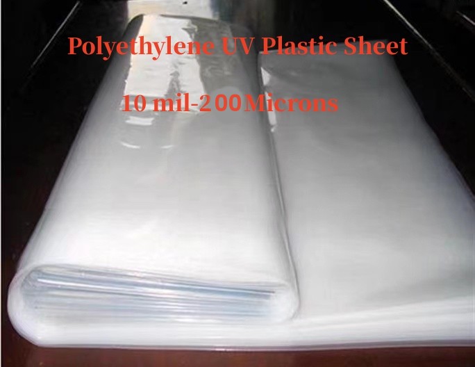 UV Plastic Sheet (10mil - 200Microns) - 10ft x 10 metera | Lazada PH
