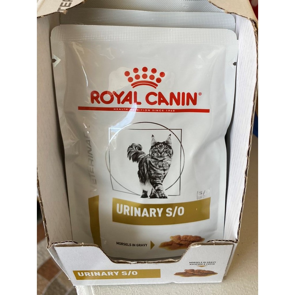 Royal Canin Urinary S/O Wet Cat Food (85g) | Lazada PH