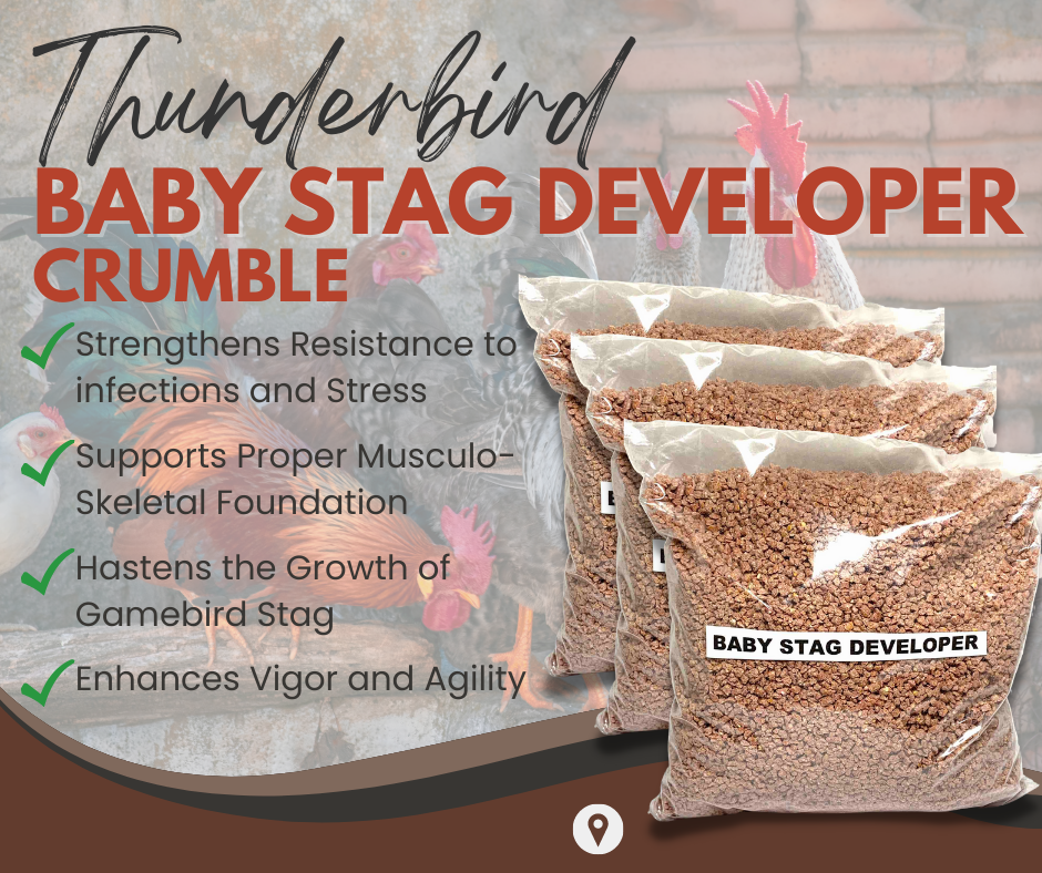[FCR AGRIVET] 3kg Thunderbird Stag Developer Crumble for Gamefowl ...