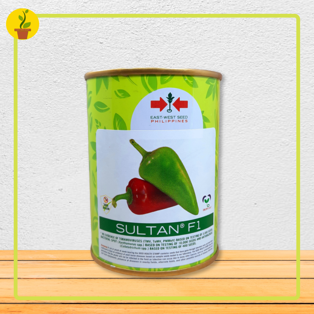 Sweet Pepper Seeds (Sultan F1 Variety) [25 Grams Can] - Eastwest By ...