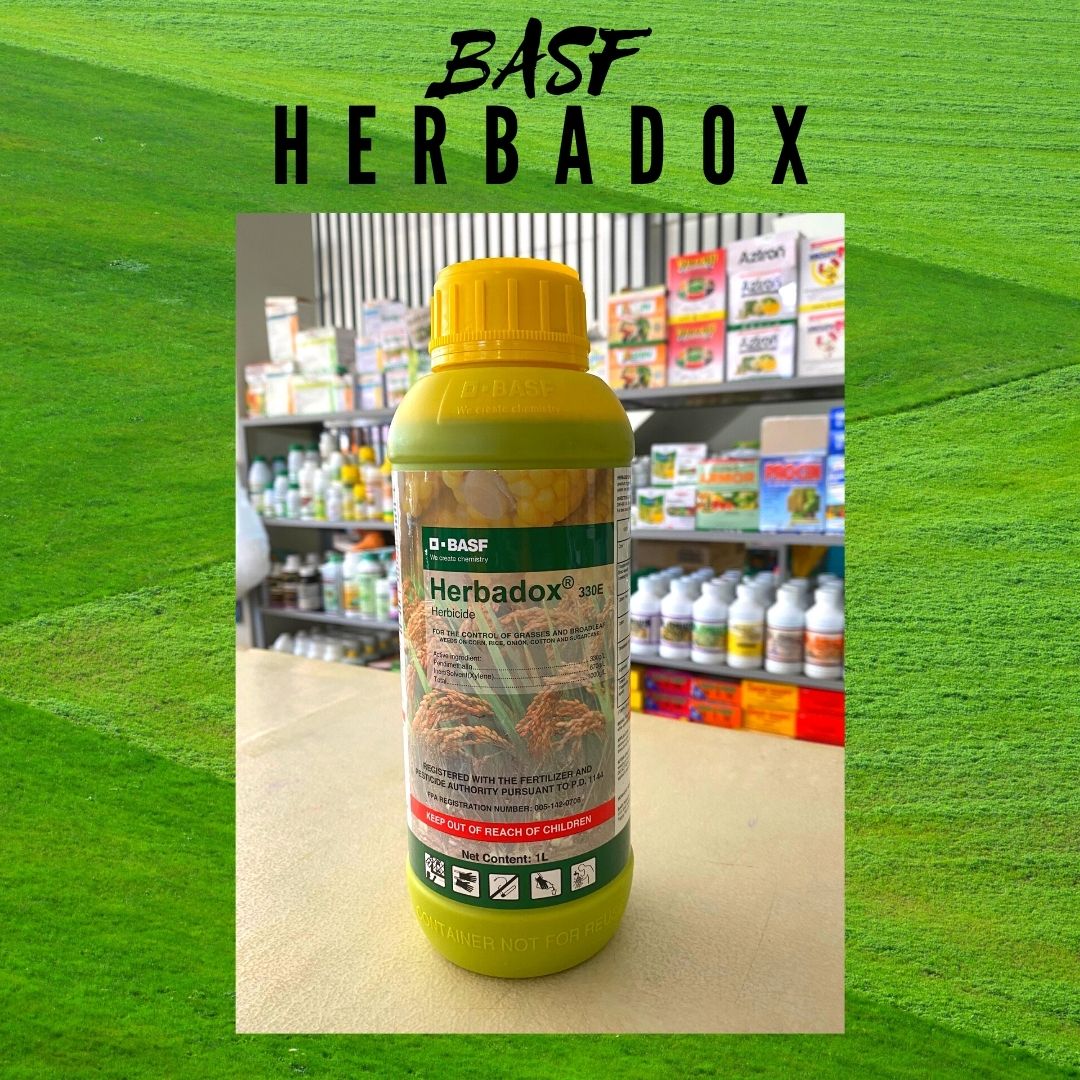 BASF Herbadox Liter Herbicide | Lazada PH