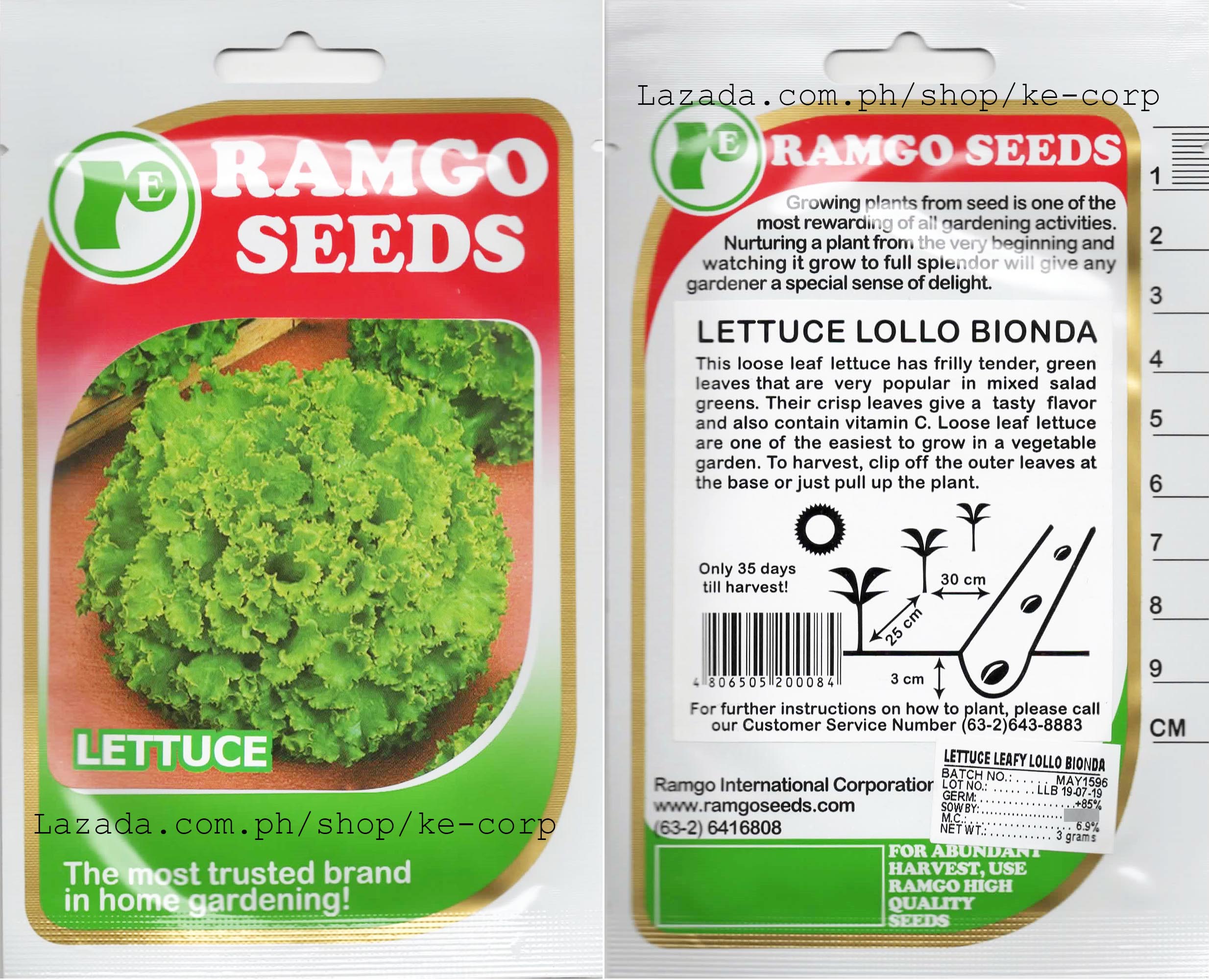 Ramgo Seeds Lettuce Leafy Lollo Bionda & Lettuce Black Simpson | Lazada PH