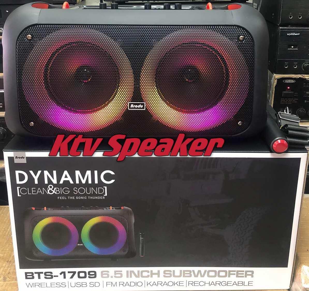 Brodu Subwoofer Bluetooth karaoke speaker BTS 1709 with FREE wireless ...
