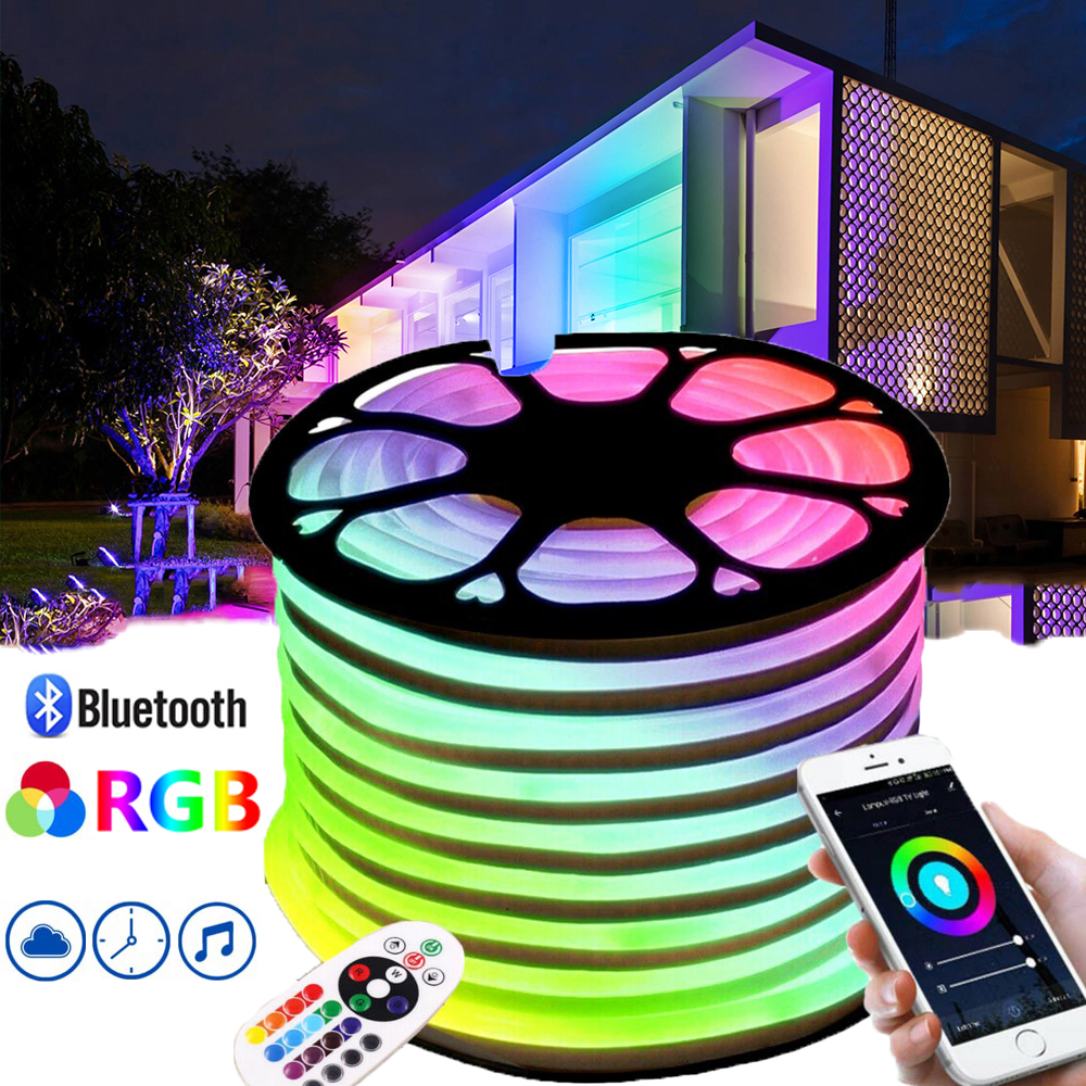 AceDeal 220V Neon RGB Strip Light Outdoor Waterproof LED Light Strip ...