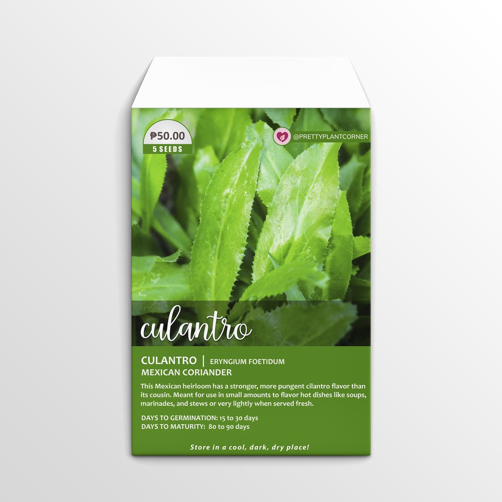 Culantro Mexican Coriander Herb Seeds | Lazada PH