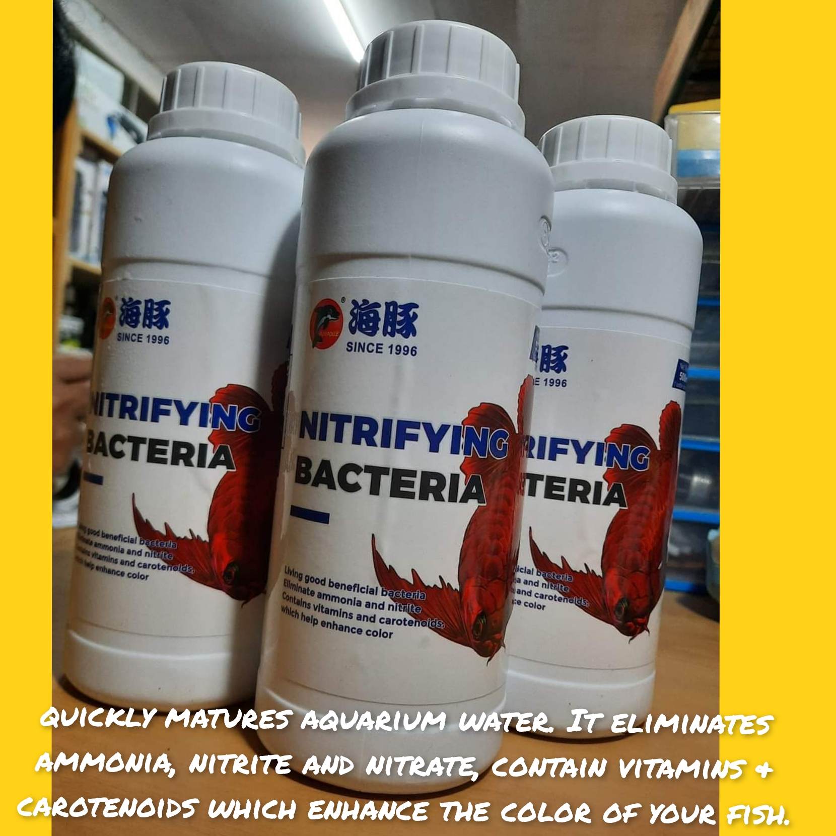 PORPOISE Nitrifying Bacteria | Lazada PH