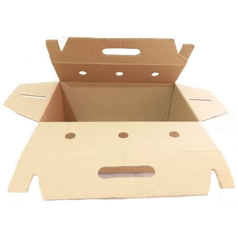 LECHON BELLY BOX SMALL (230 X 154 130 MM) SET OF 10 PCS | Lazada PH