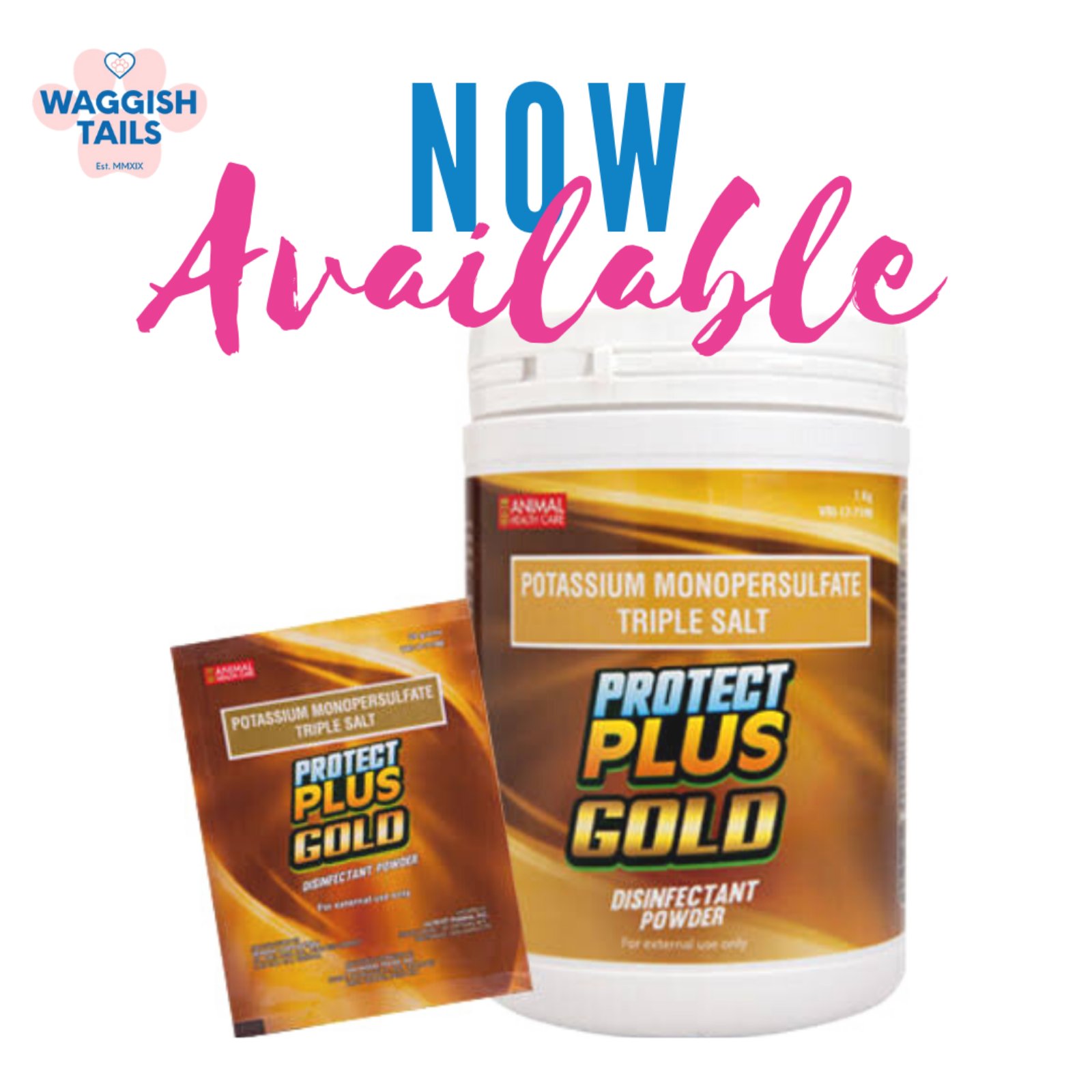 Protect Plus Gold Disinfectant for Pets (20g) | Lazada PH