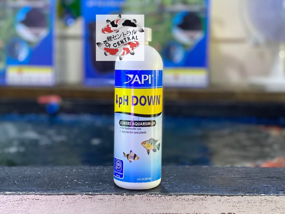 API PH Down 16oz | Lazada PH