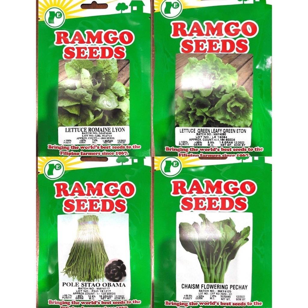 Ramgo Seeds Lettuce Eton Lettuce Lyon Chaism Flowering Pechay Sitao ...