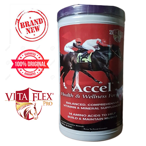 Accel Vitaflex Health Wellness Formula for Gamefowl Rooster & Racing ...