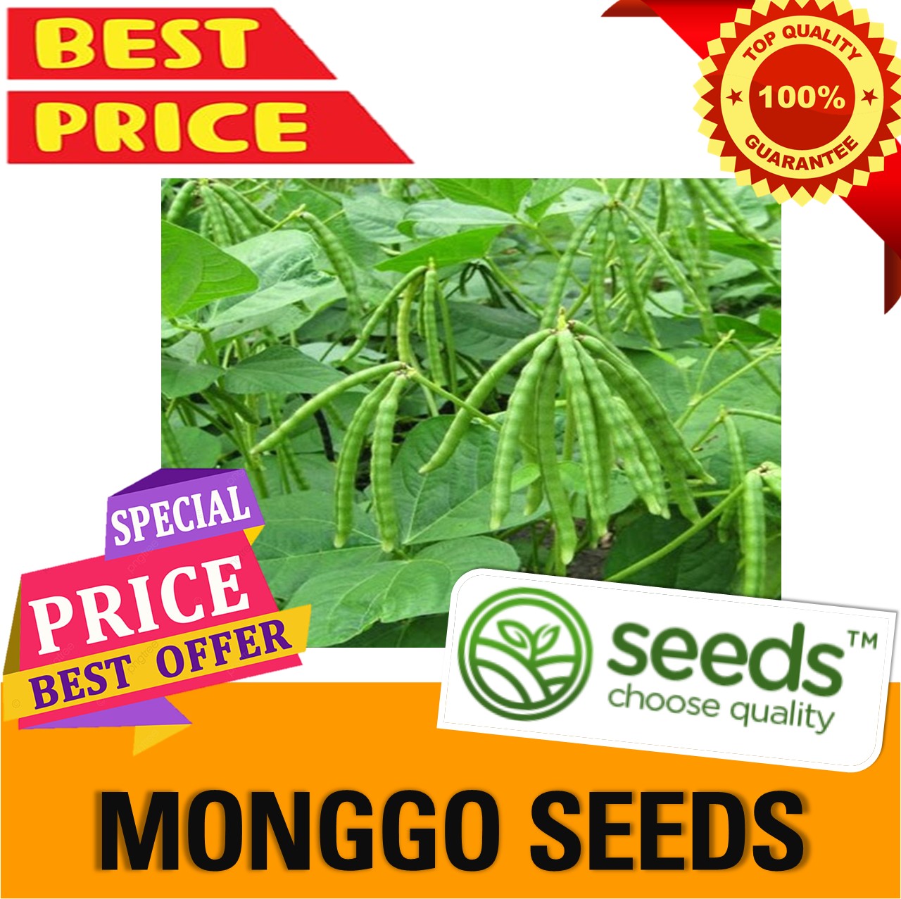 VALUE PACK - Mungbean Monggo Seeds - Vegetable Seeds | Lazada PH