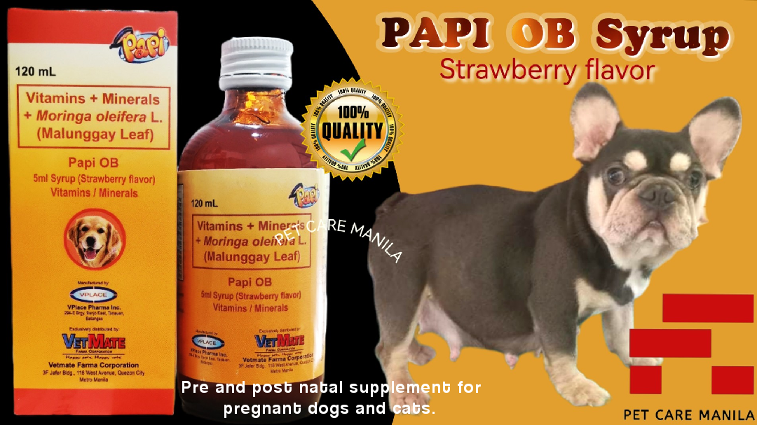 PAPI OB Syrup Vitamins + Minerals, 120ml, for pregnant & lactating pets ...