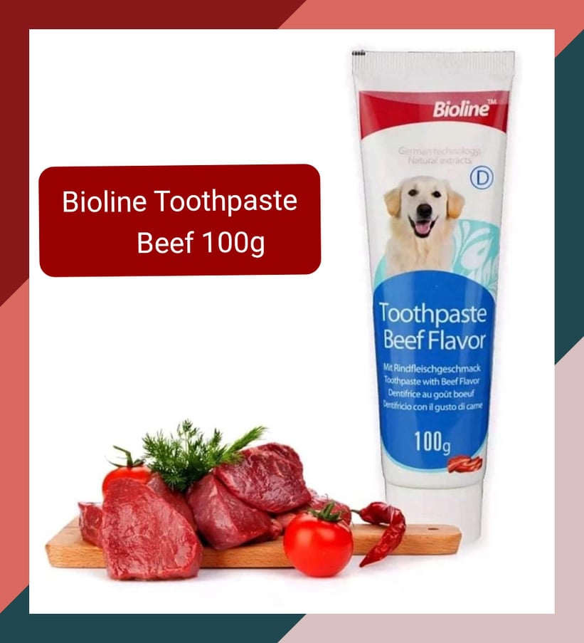 Bioline Dog Toothpaste 100g (Toothpaste only) | Lazada PH
