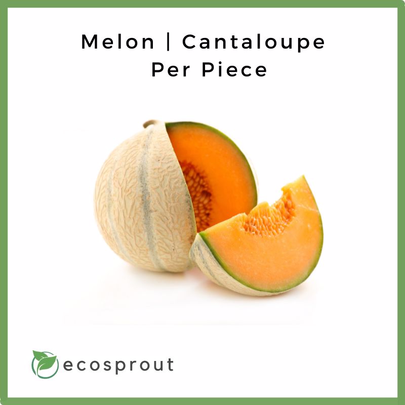 Melon Cantaloupe per piece Fresh Fruits Manila | Lazada PH