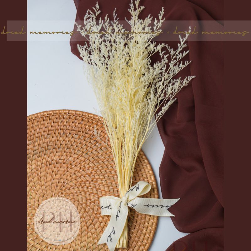 Dried Misty Real Flower White Misty Flower Red Misty Flower Dried ...