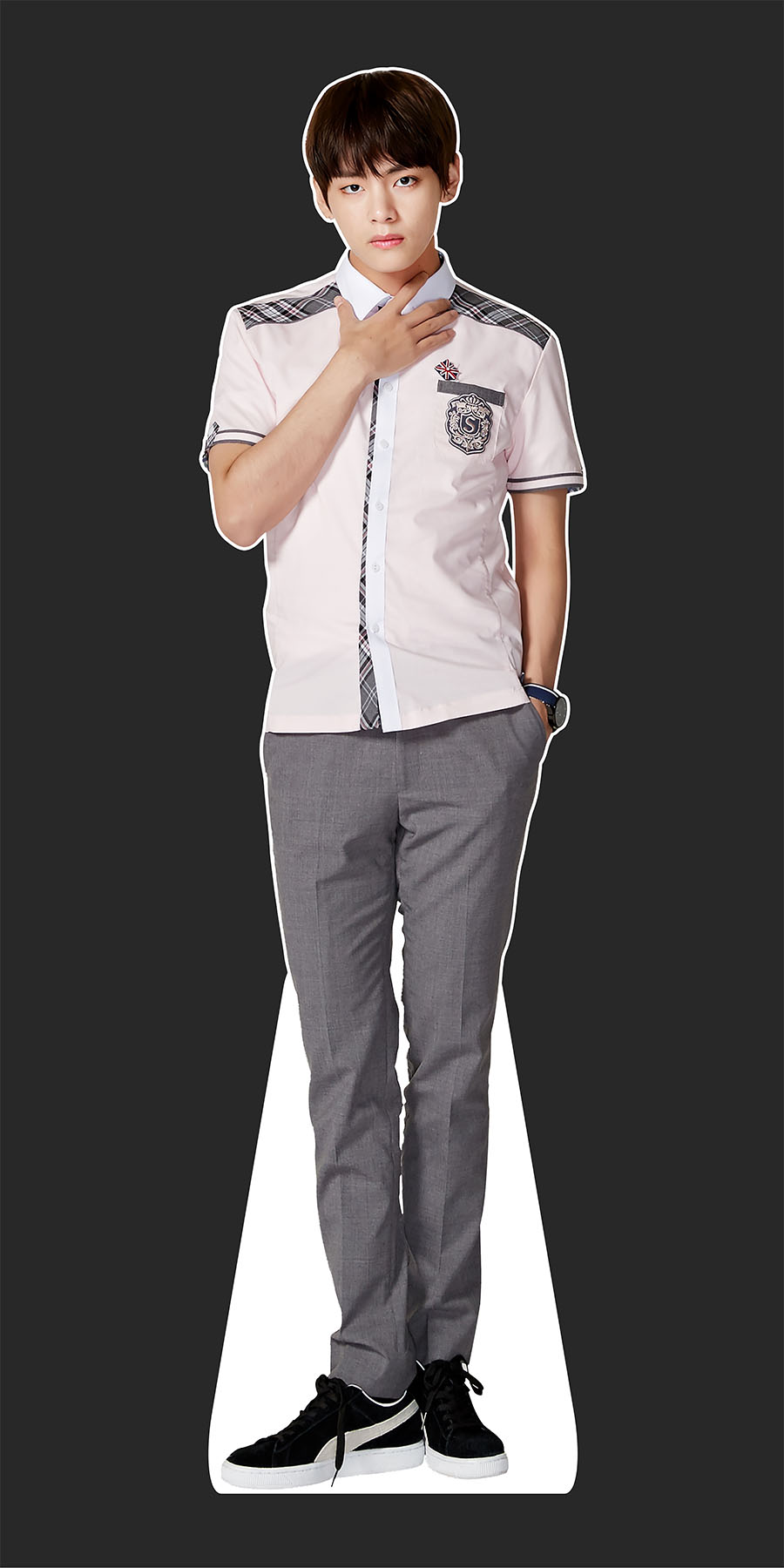 BTS Bangtan Life sized Standee - RM, Jin, Suga, J-Hope, Jimin, V ...