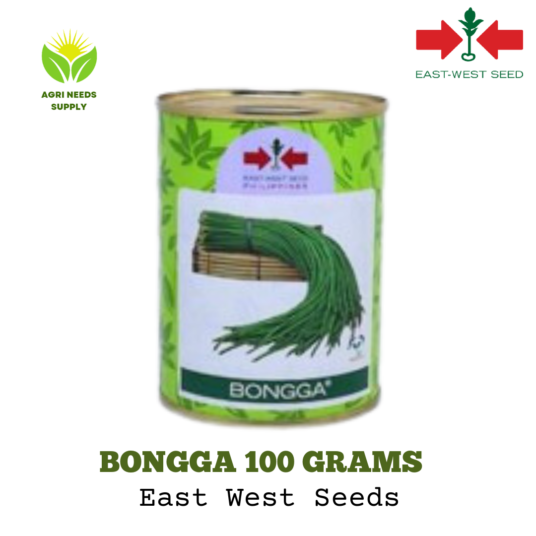 BONGGA SITAO EAST WEST SEEDS 100GMS | Lazada PH