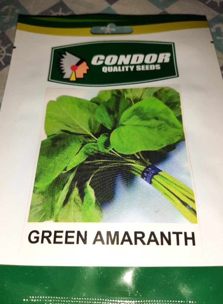 green amaranth / Amaranthus viridis / kulitis / green roundleaf ...