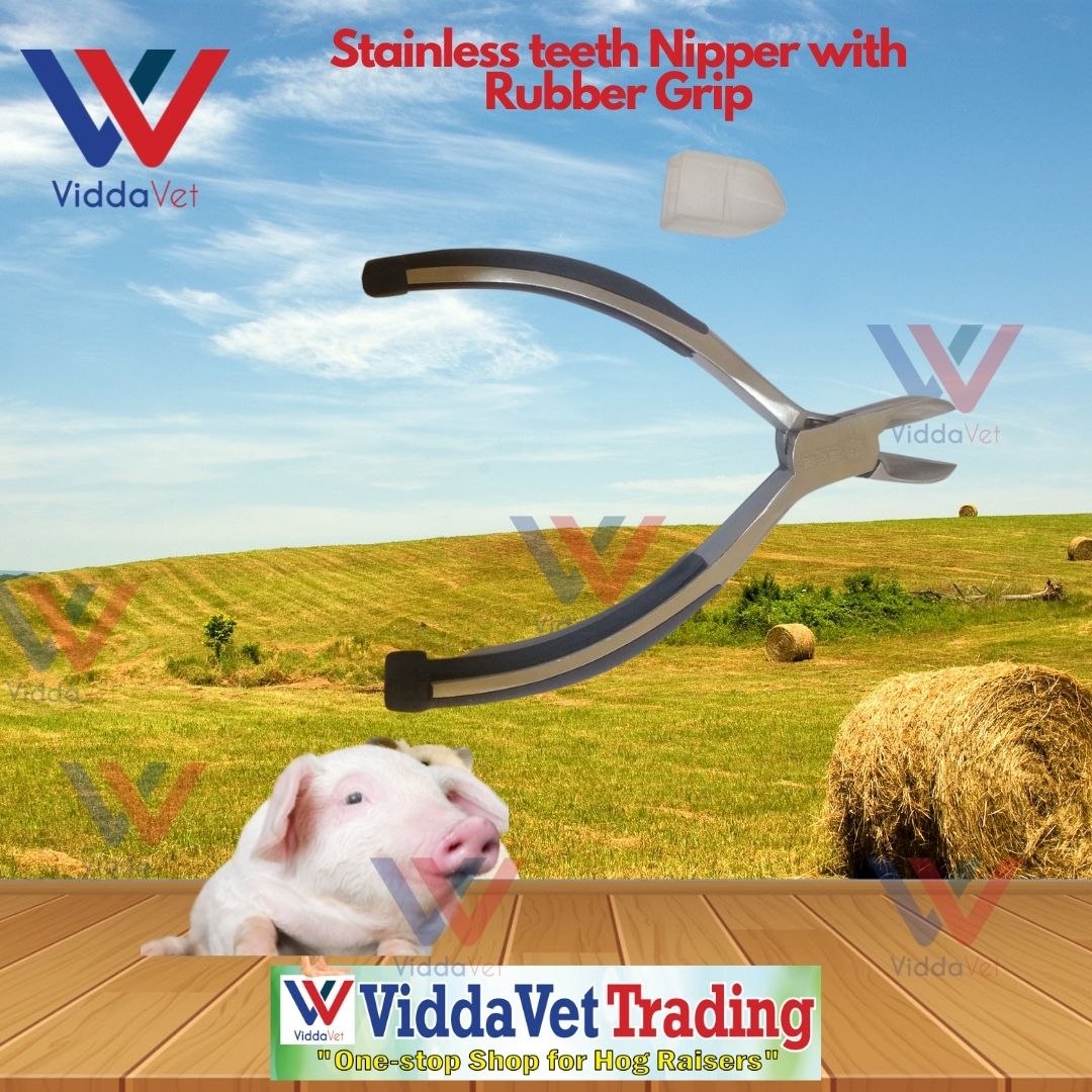 1 pc Piglet Tooth Nipper Stainless Steel Rubber Grip Sharp Baby Teeth ...