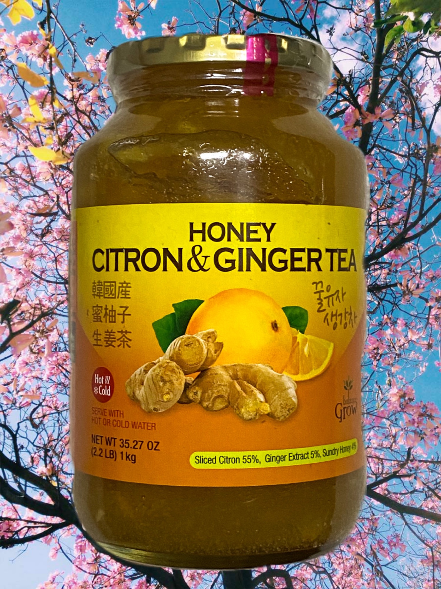 Honey Citron Ginger Tea Lazada PH Honey Citron Ginger Tea Lazada PH