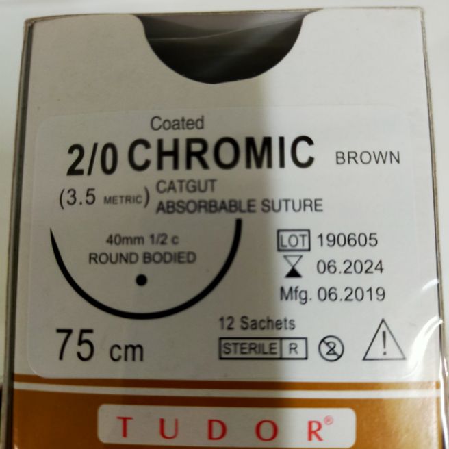 2.0 Chromic Round 12's/box | Lazada PH