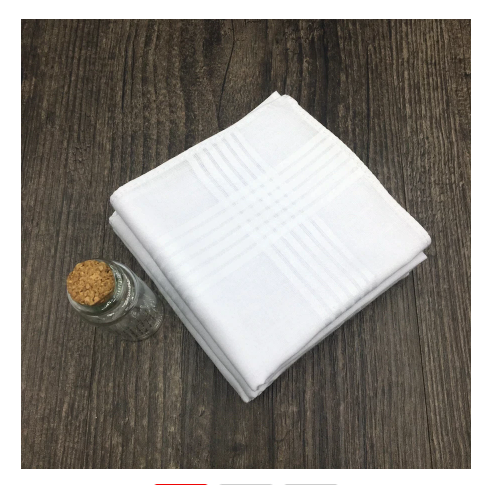 Dotskie 2pcs Handkerchief Plain White Cotton Panyo For Men and Women ...