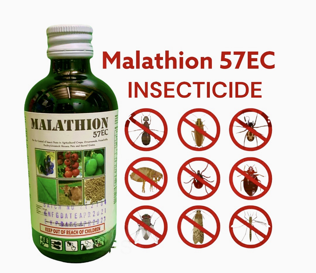 MALATHION INSECTICIDE PESTICIDE HOUSEHOLD USE BED BUGS VEGETABLES PLATS ...