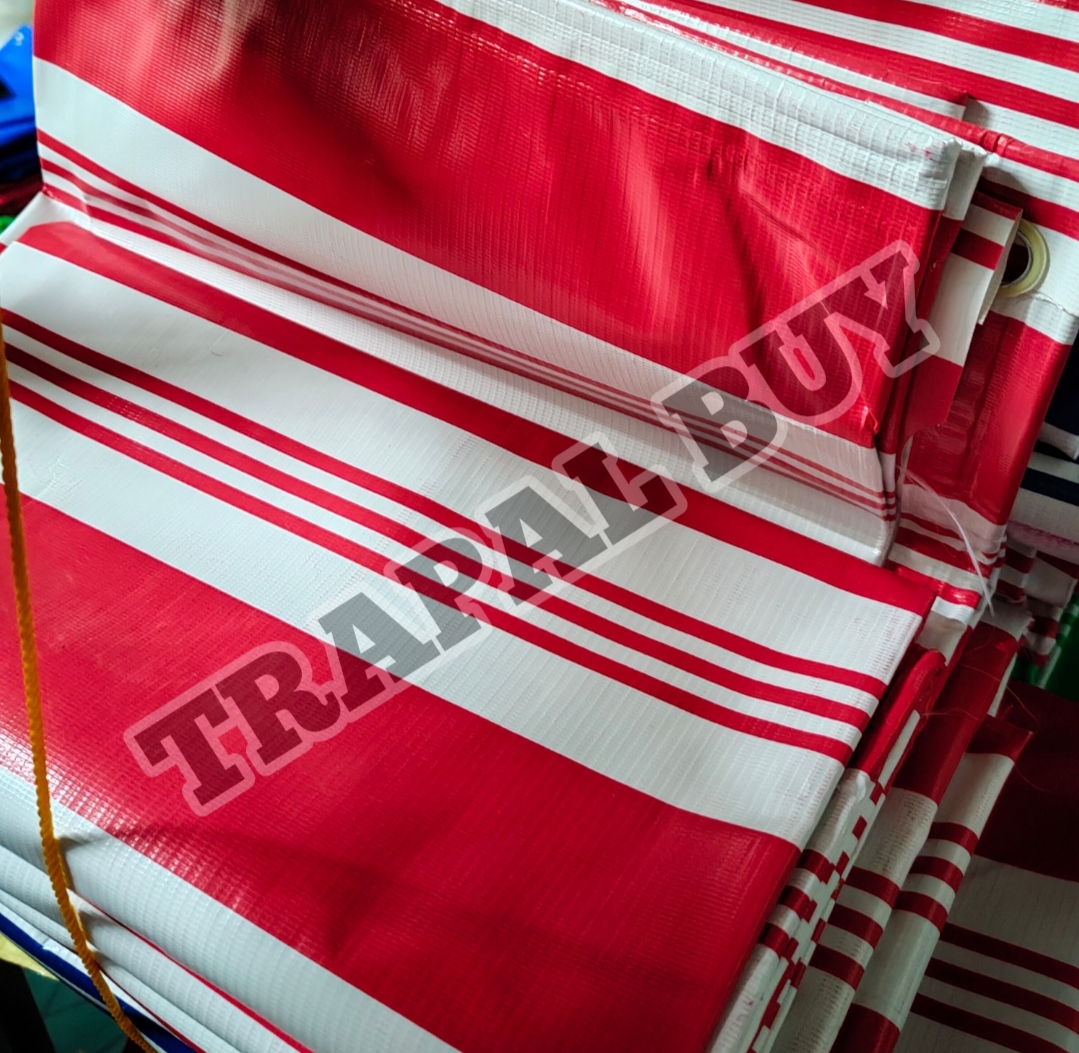 6ft x 10ft (10FT LAGAYAN NG TUBO) ROLL UP ROLL DOWN AWNING TOLDA LONA ...