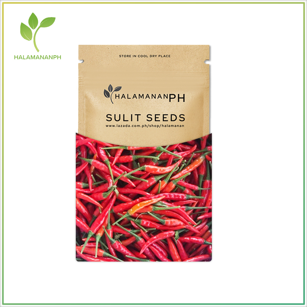 100 SEEDS CHILI PEPPERS - SILI LABUYO TINGALA - SUPER SULIT VEGETABLE ...